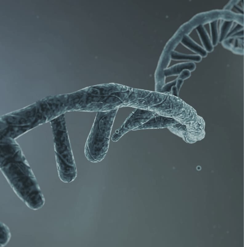 mRNA production reinvented • Quantoom Biosciences