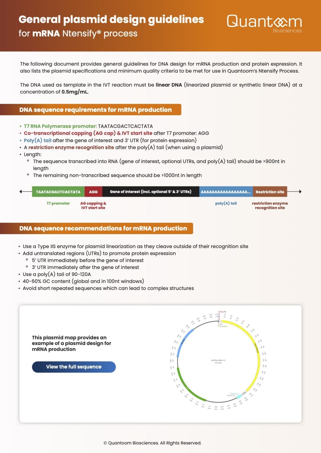 mRNA production solution from R&D to large-scale manufacturing ...